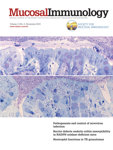 Volume 12 Issue 6, November 2019