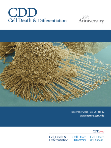 Volume 25 Issue 12, December 2018