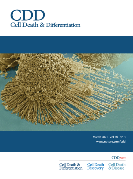 Cell Death & Differentiation