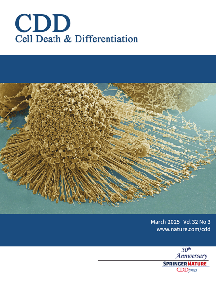 Volume 32 Issue 3, March 2025