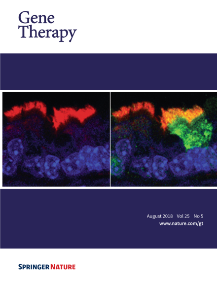 Volume 25 Issue 5, August 2018