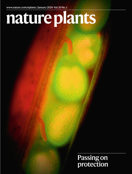 Volume 10 Issue 1, January 2024