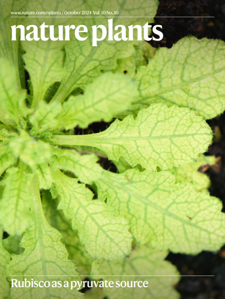 Volume 10 Issue 10, October 2024