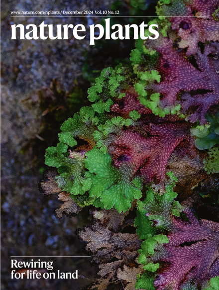 Volume 10 Issue 12, December 2024