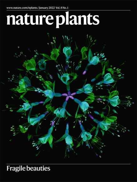 Volume 8 Issue 1, January 2022