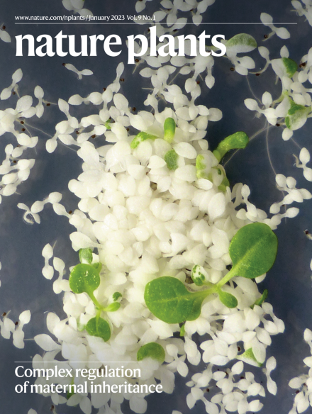 Volume 9 Issue 1, January 2023