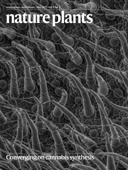 Volume 9 Issue 5, May 2023