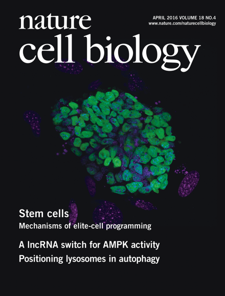 Volume 18 Issue 4, April 2016