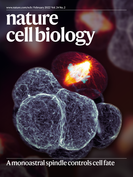 Volume 24 Issue 2, February 2022