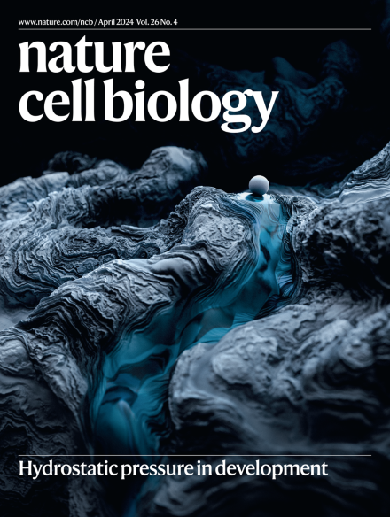 Volume 26 Issue 4, April 2024