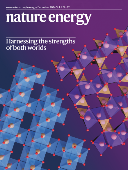 Nature Energy