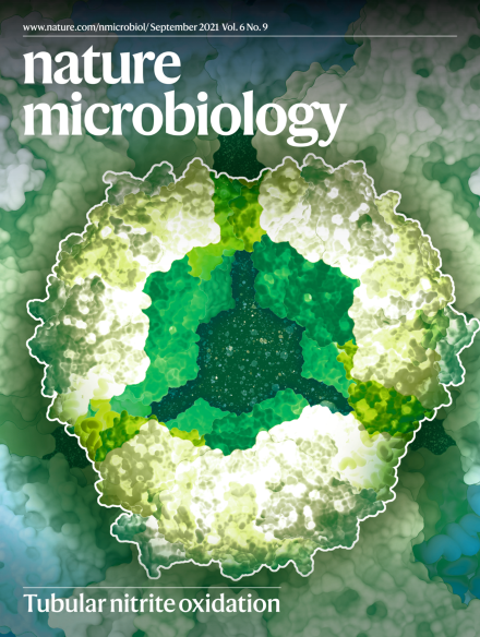 Volume 6 Issue 9, September 2021