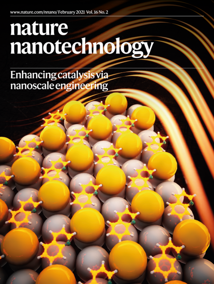 Nature Nanotechnology