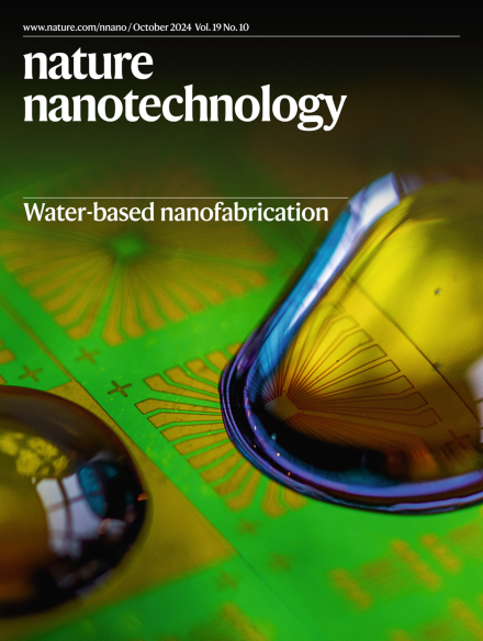 Nature Nanotechnology