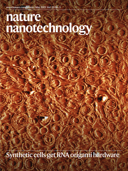 Volume 20 Issue 5, May 2025