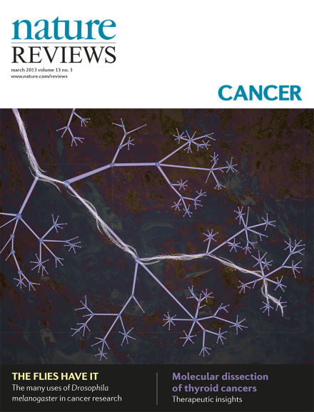 Volume 13 Issue 3, March 2013