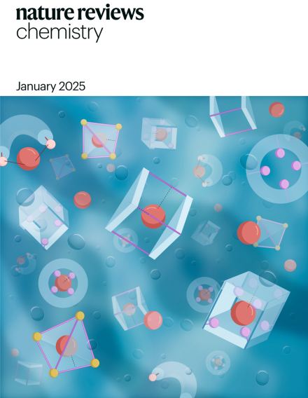 Nature Reviews Chemistry