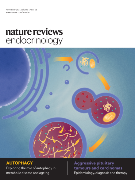 Volume 17 Issue 11, November 2021