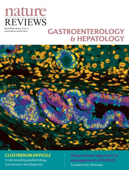 Volume 13 Issue 4, April 2016