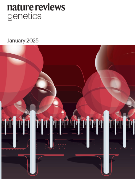 Volume 26 Issue 1, January 2025