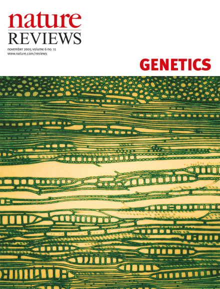 Volume 6 Issue 11, November 2005