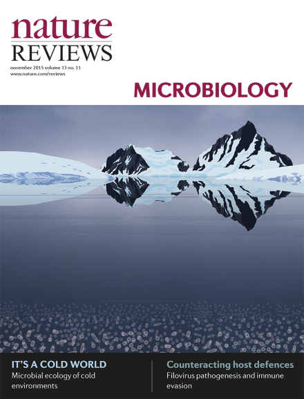 Volume 13 Issue 11, November 2015