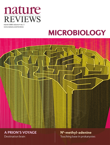 Volume 4 Issue 3, March 2006