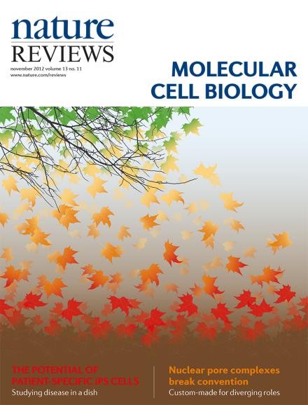 Volume 13 Issue 11, November 2012