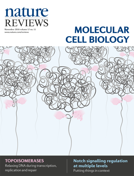 Volume 17 Issue 11, November 2016