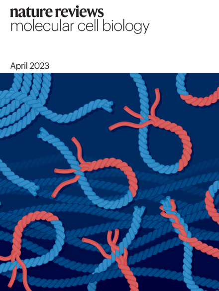 Volume 24 Issue 4, April 2023