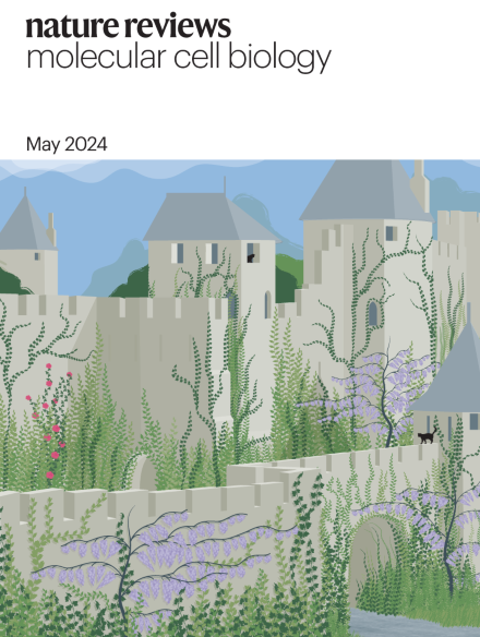 Volume 25 Issue 5, May 2024