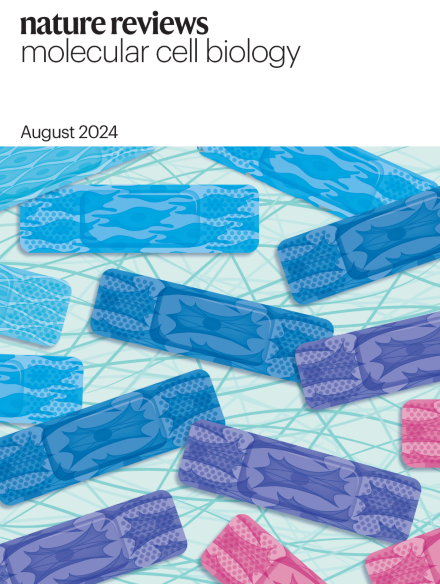 Volume 25 Issue 8, August 2024