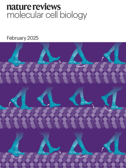 Volume 26 Issue 2, February 2025