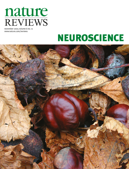 Volume 6 Issue 11, November 2005