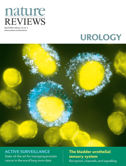 Volume 13 Issue 4, April 2016