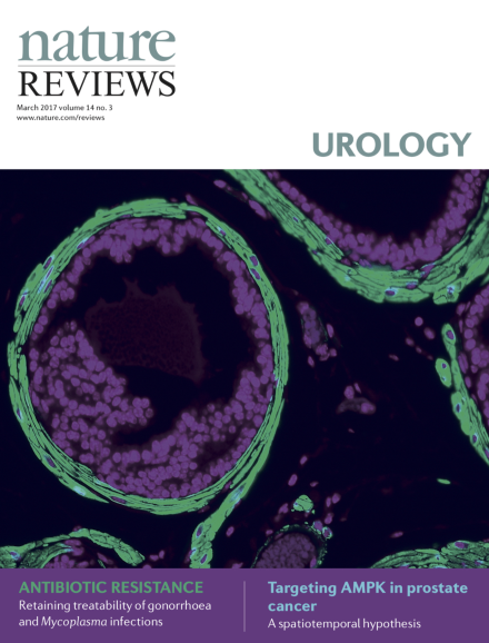 Volume 14 Issue 3, March 2017