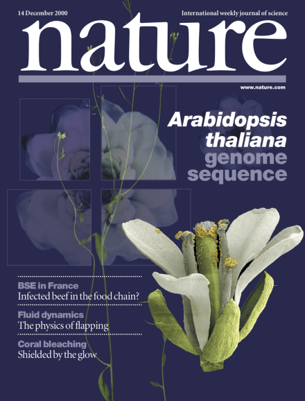 Volume 408 Issue 6814, 14 December 2000