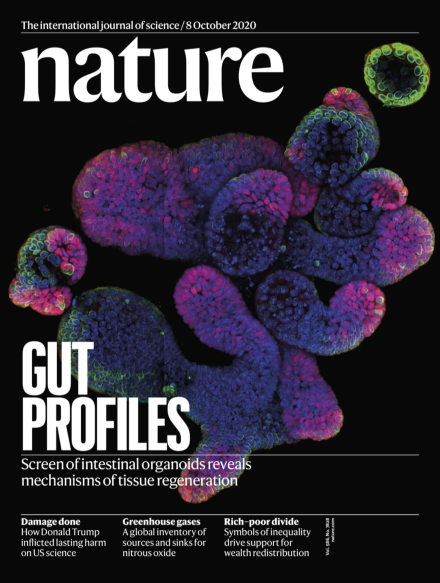 Volume 586 Issue 7828, 8 October 2020