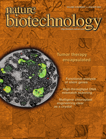 Volume 19 Issue 1, January 2001