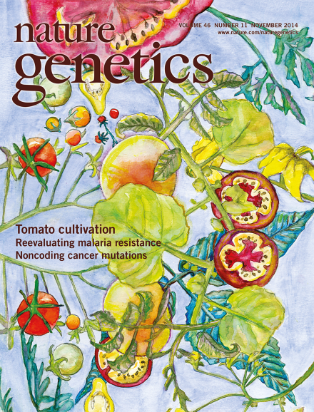 Volume 46 Issue 11, November 2014
