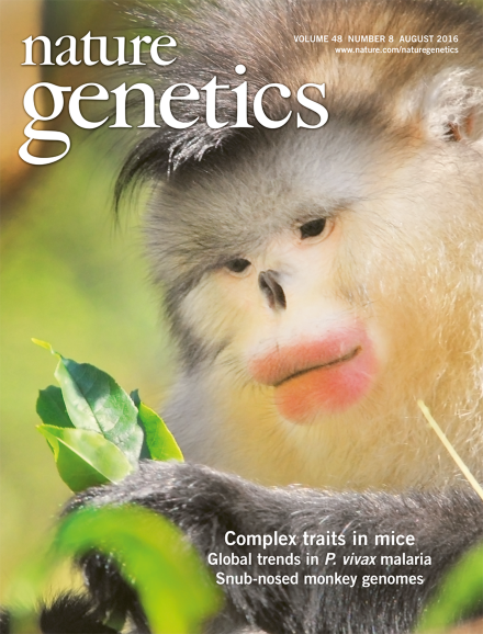 Volume 48 Issue 8, August 2016