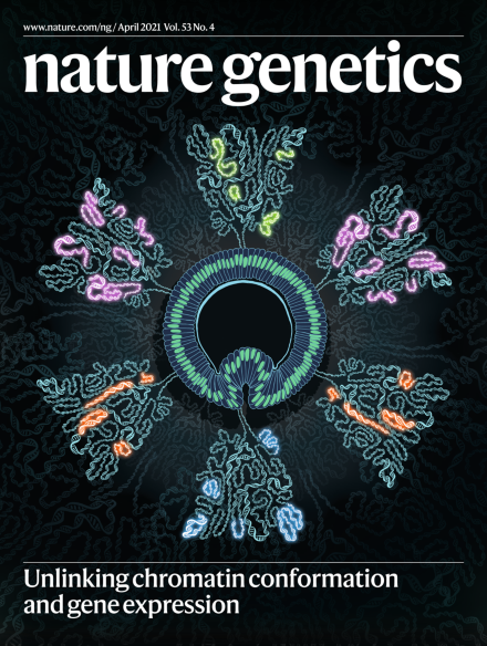 Volume 53 Issue 4, April 2021