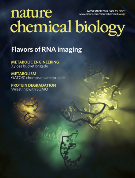 Volume 13 Issue 11, November 2017