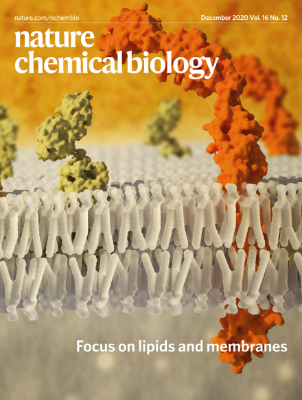 Volume 16 Issue 12, December 2020