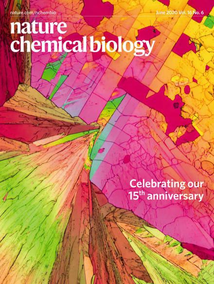 Volume 16 Issue 6, 1 June 2020