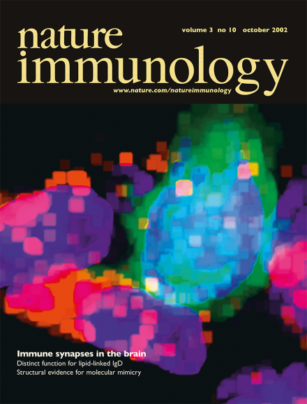 Volume 3 Issue 10, October 2002