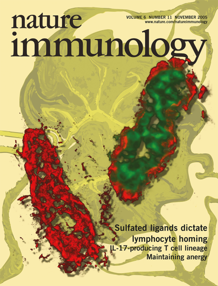 Volume 6 Issue 11, November 2005