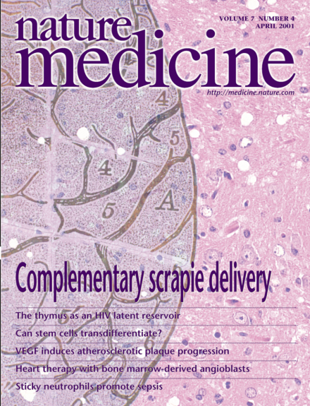 Volume 7 Issue 4, April 2001