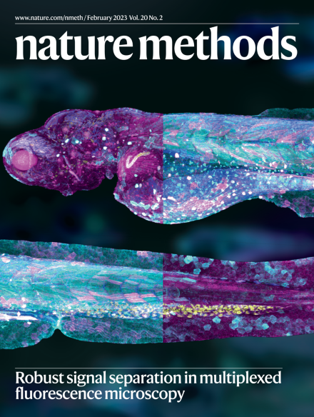 Volume 20 Issue 2, February 2023