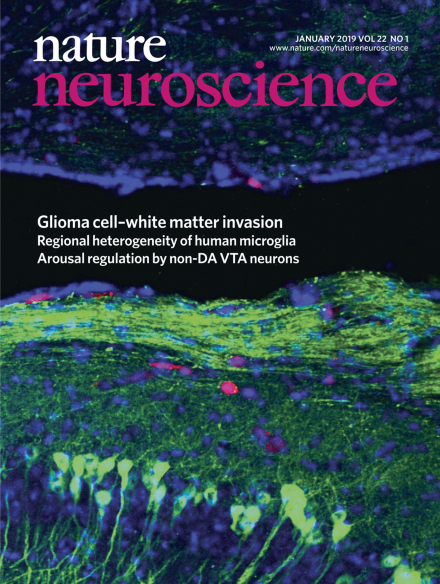 Volume 22 Issue 1, January 2019